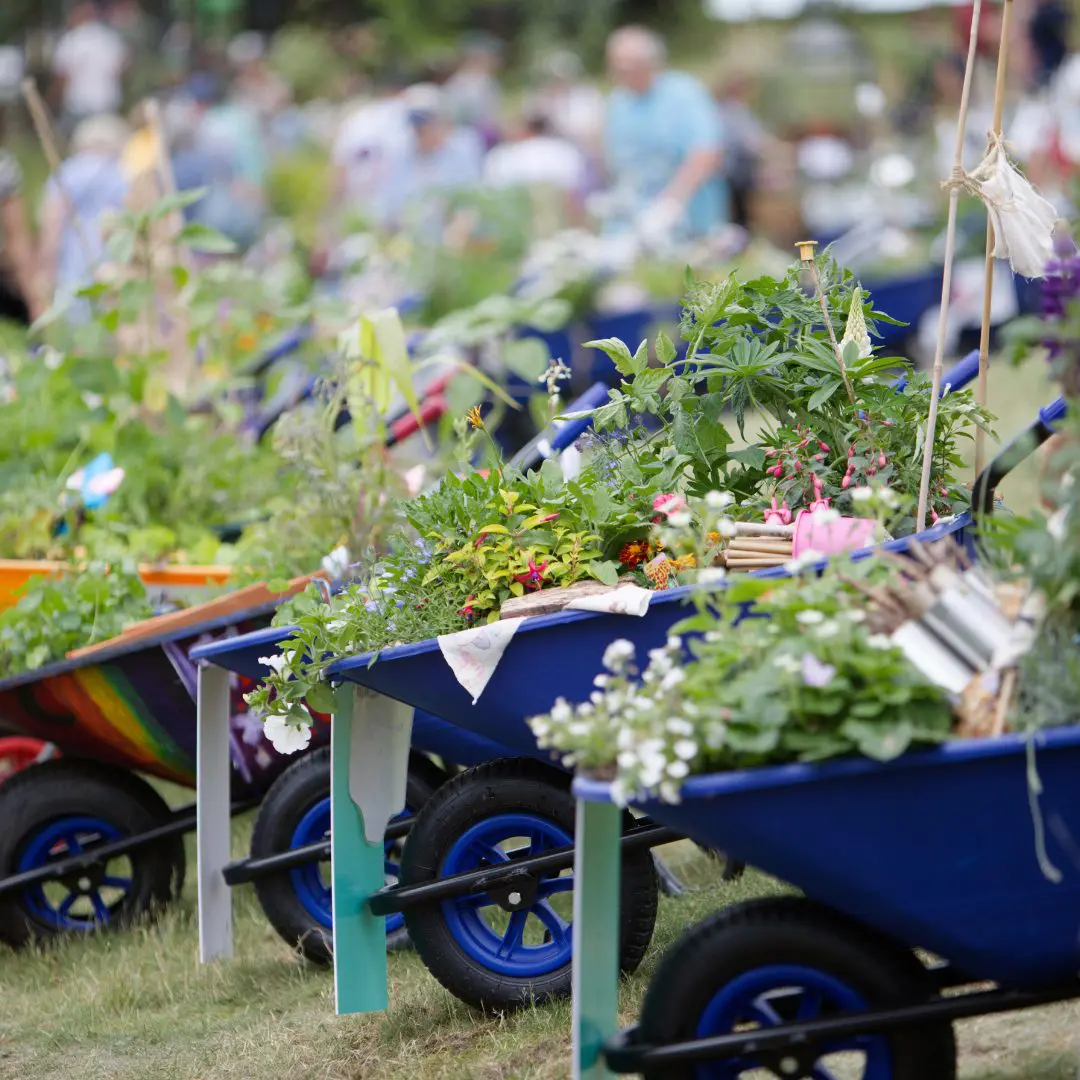 School Wheelbarrow Competition - BBC Gardeners' World Live