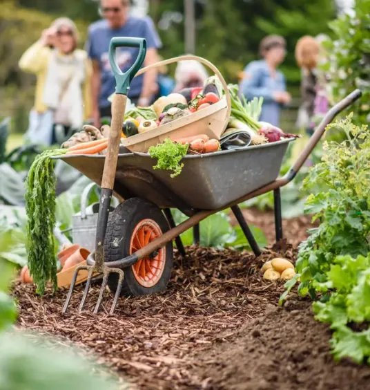 Working Garden - BBC Gardeners' World Live