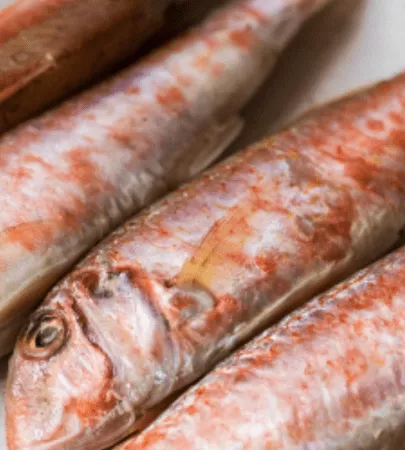Red mullet with homegrown basil - BBC Gardeners' World Live