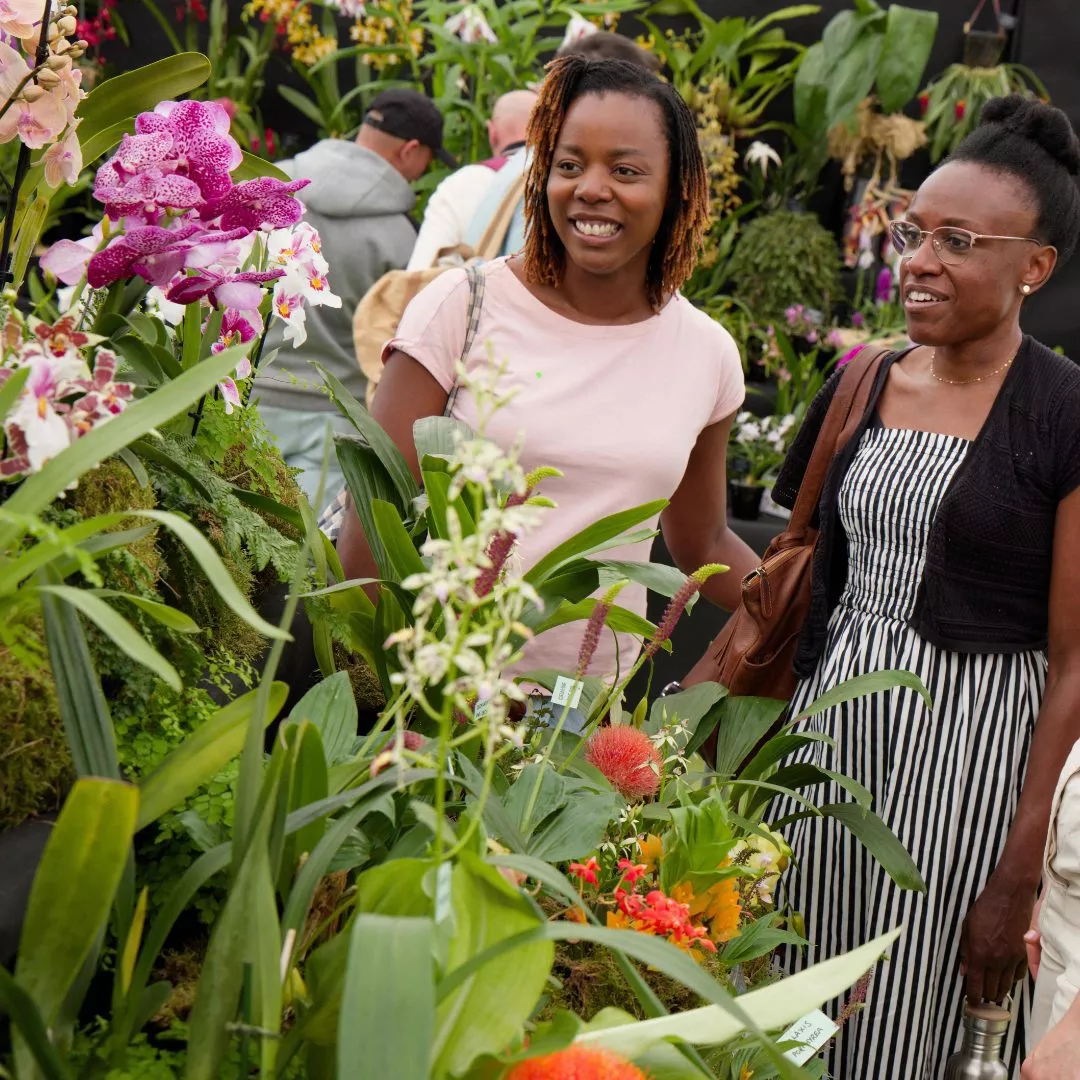 The International Orchid Show - BBC Gardeners' World Live