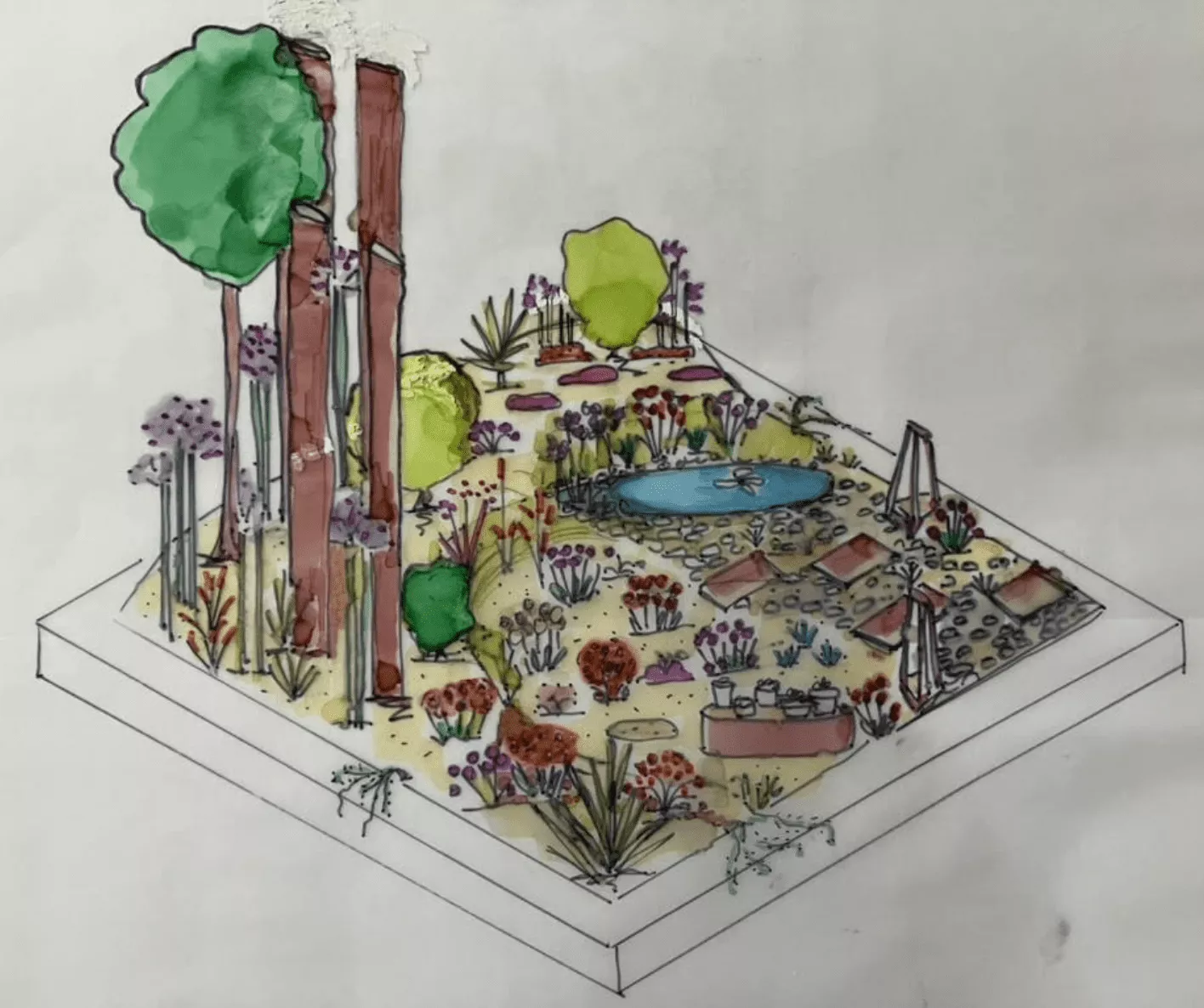 Super blooms! A high-energy dry border for people, plants and ...